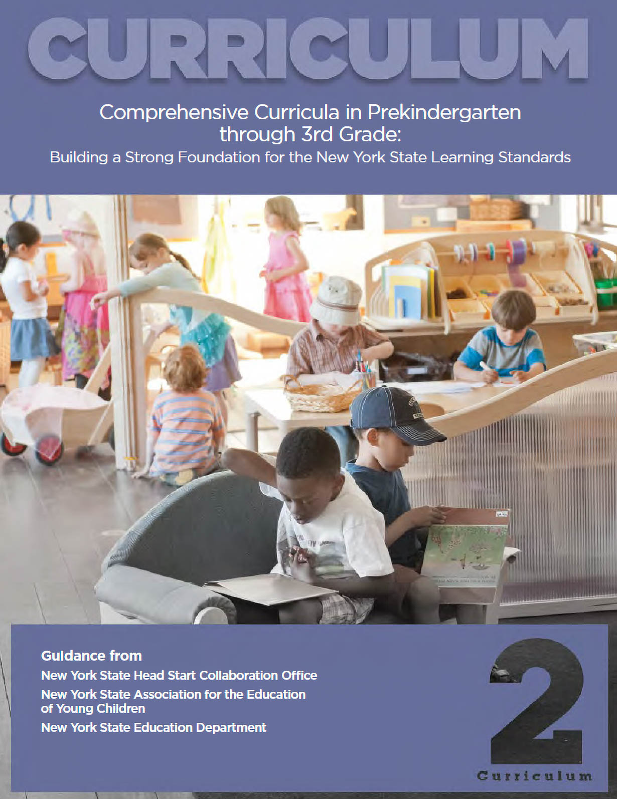 Curriculum - Developmentally Appropriate Practice Briefs (DAPS ...